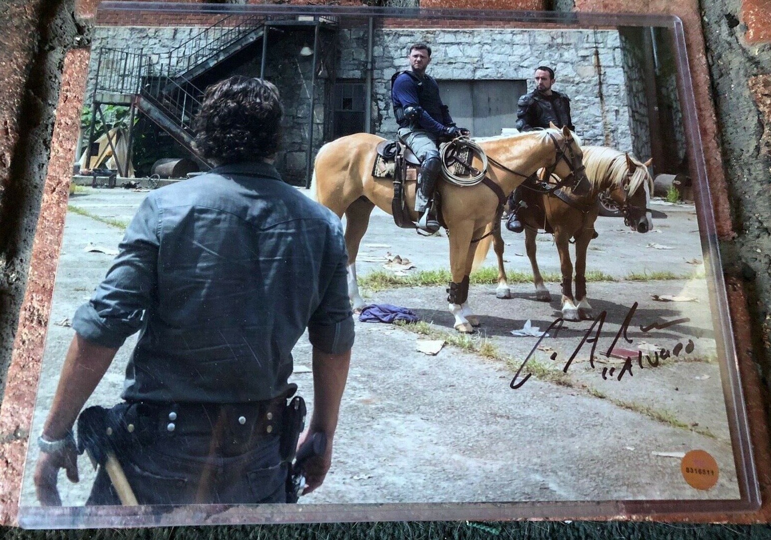 Carlos Navarro (Alvaro) The Walking Dead Signed Autograph 8x10 Photo w ...