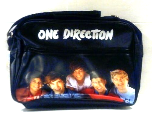 One Direction School