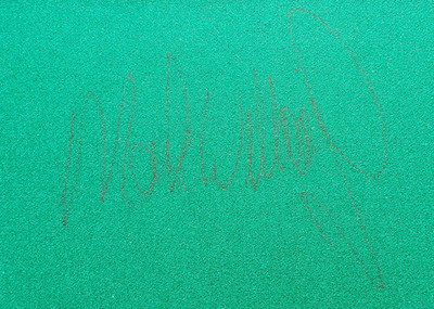 Mark WILLIAMS Signed Baize Autograph World Champion Snooker Player ...