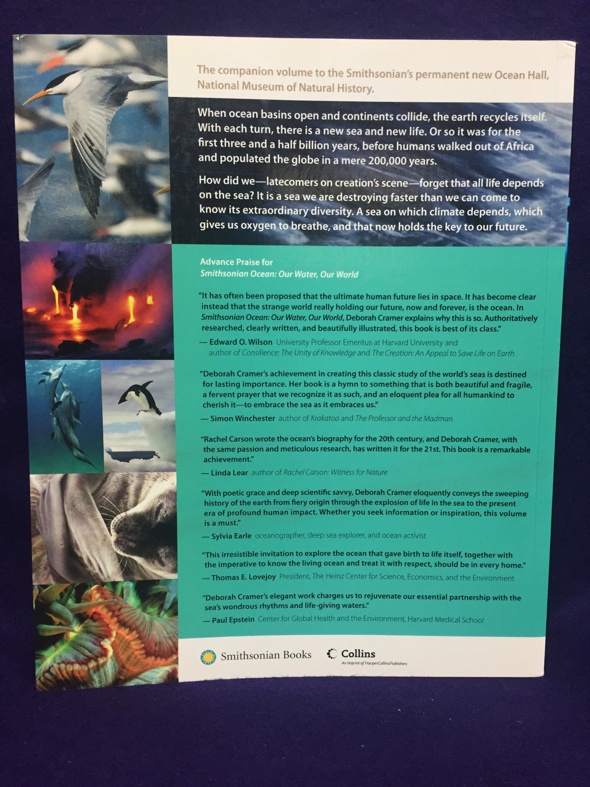 Smithsonian Ocean Our Water World Deborah Cramer ≈Ω≈ NEW 2008 1st Ed ...
