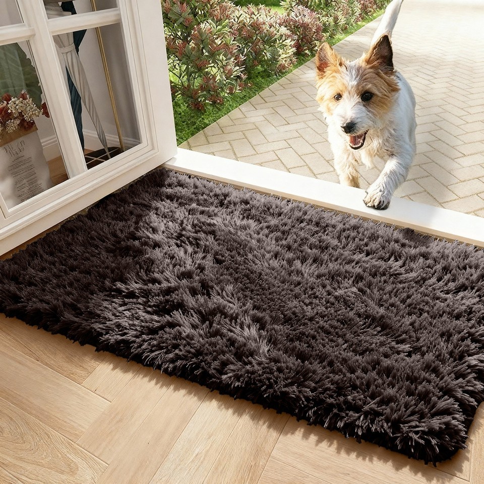 Doormat Shaggy Fluffy Rugs for Bedroom Guest Room Soft Fuzzy Floor Mats ...