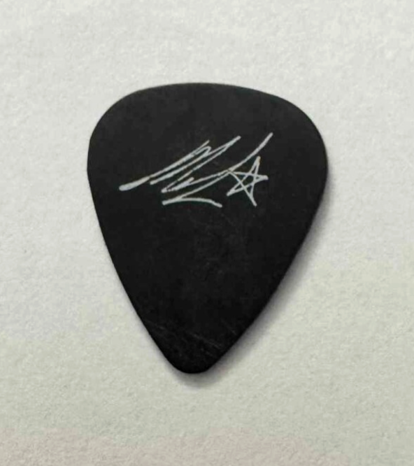 ALICE IN CHAINS Guitar Pick #48 Vintage MIKE STARR Tour RIP Sober House ...