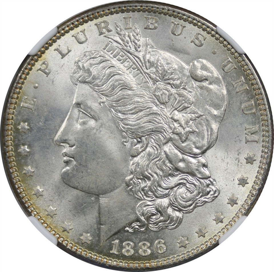1886 Hot-50 $1 NGC MS 64 (VAM-1C 3+2 Clash) Morgan Silver Dollar | eBay