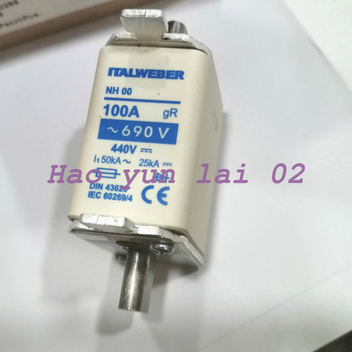 1PCS New For ITALWEBER Fuse NH00 100A ~690V | eBay