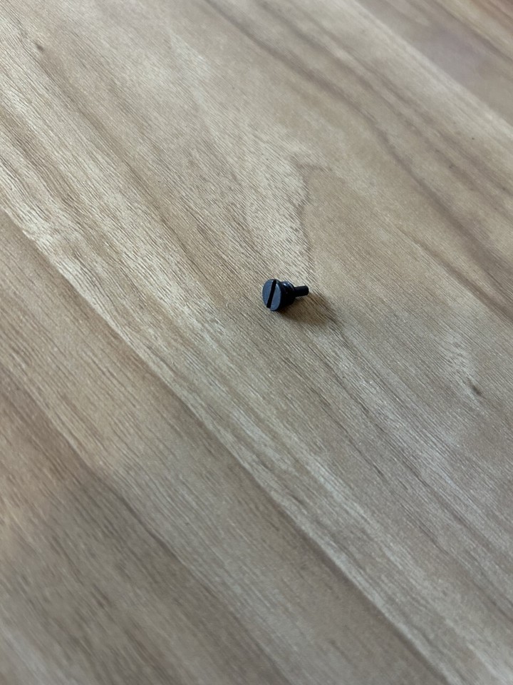 ITHACA Model 49R Repeater .22 Rifle, Bolt Guide Block Screw, Good Used ...