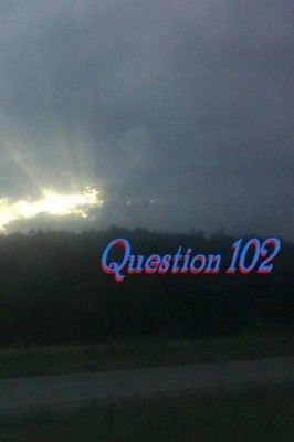 Question 102 by Josie Orks (English) Paperback Book 9781484902509| eBay