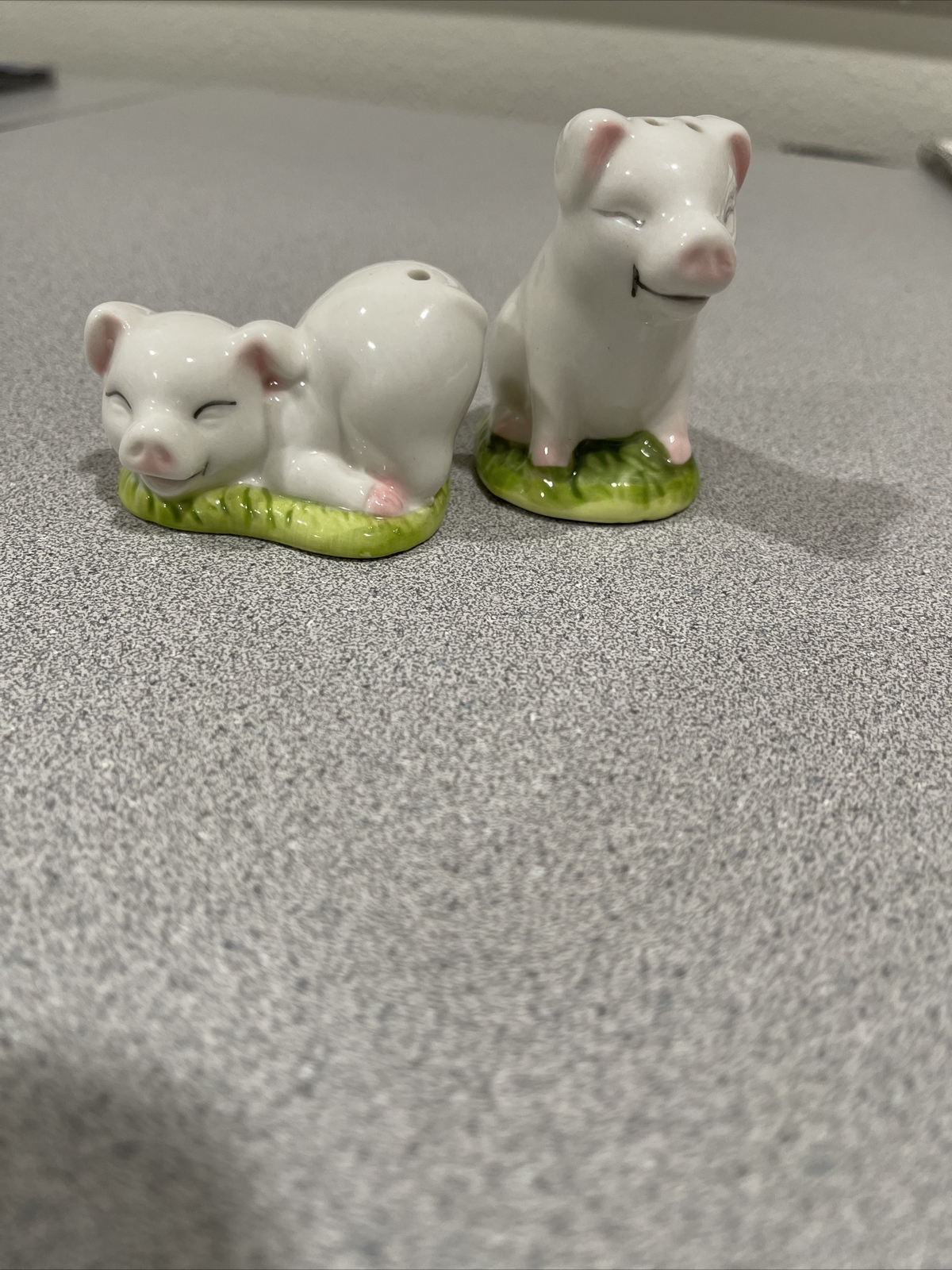 Pig Salt And Pepper Shakers Ceramic Farm Country Pork Snout | eBay