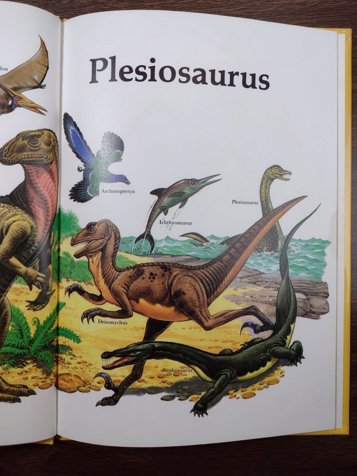 Plesiosaurus Loch Ness Monster Library Binding Robert Oliver Vintage ...