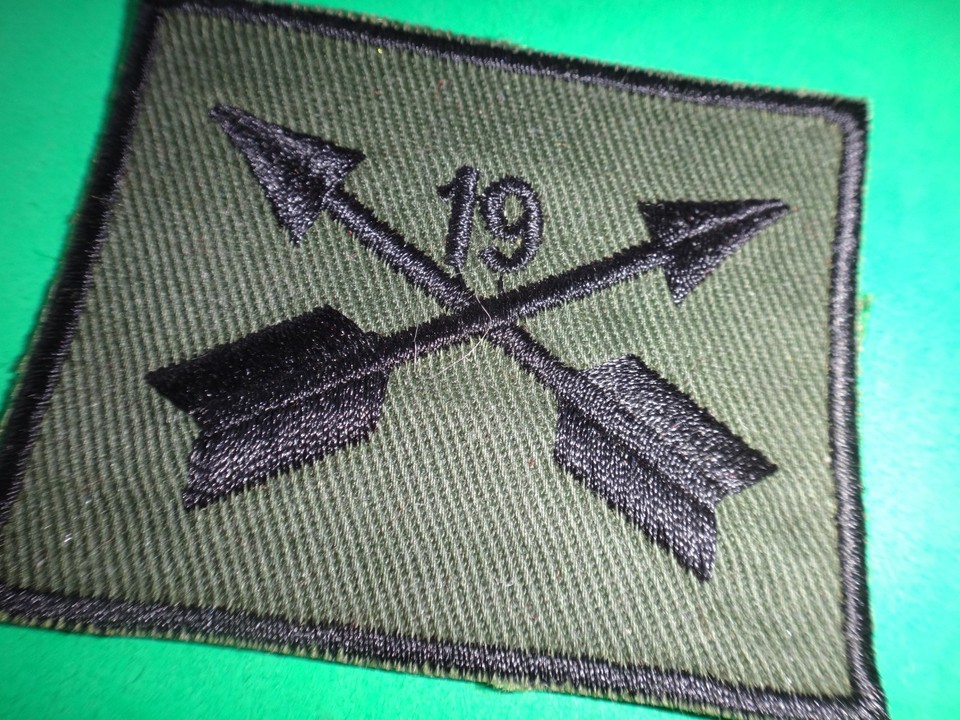 US Army 19th Special Forces Group Subdued Patch | eBay