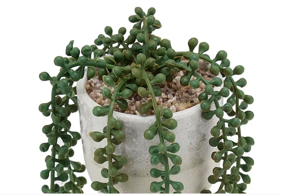 New Artificial String Of Pearls Plant In Pot-Pot:9.3cm (H) x 10cm (Dia ...
