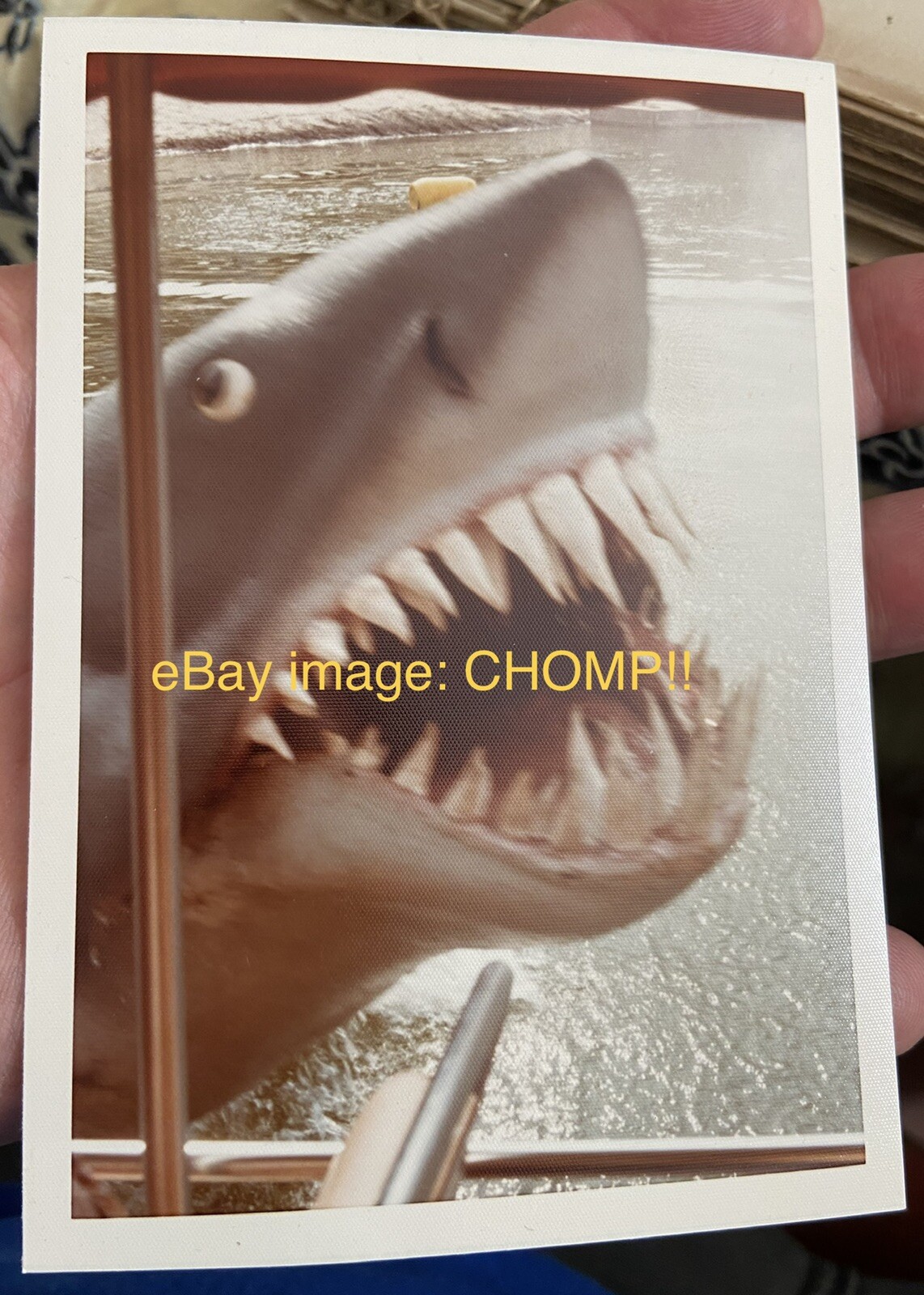 ca.1976-1978 Hollywood, Calif. Universal Studios JAWS Shark Candid ...