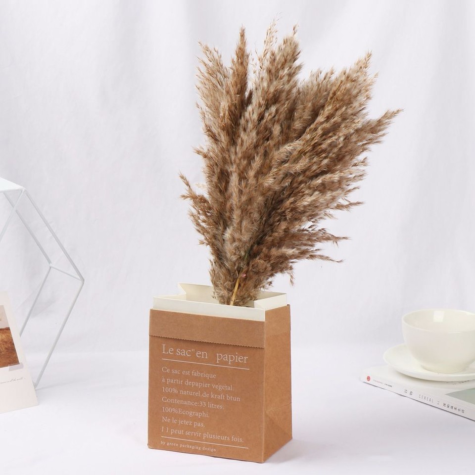 Props Small Pampas Grass Reed Natural Dried Bouquets Plant Stems Real ...