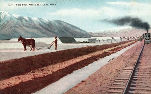 Vintage Postcard Salt Flats Beds Hard White Salt Crust Great Salt Lake ...