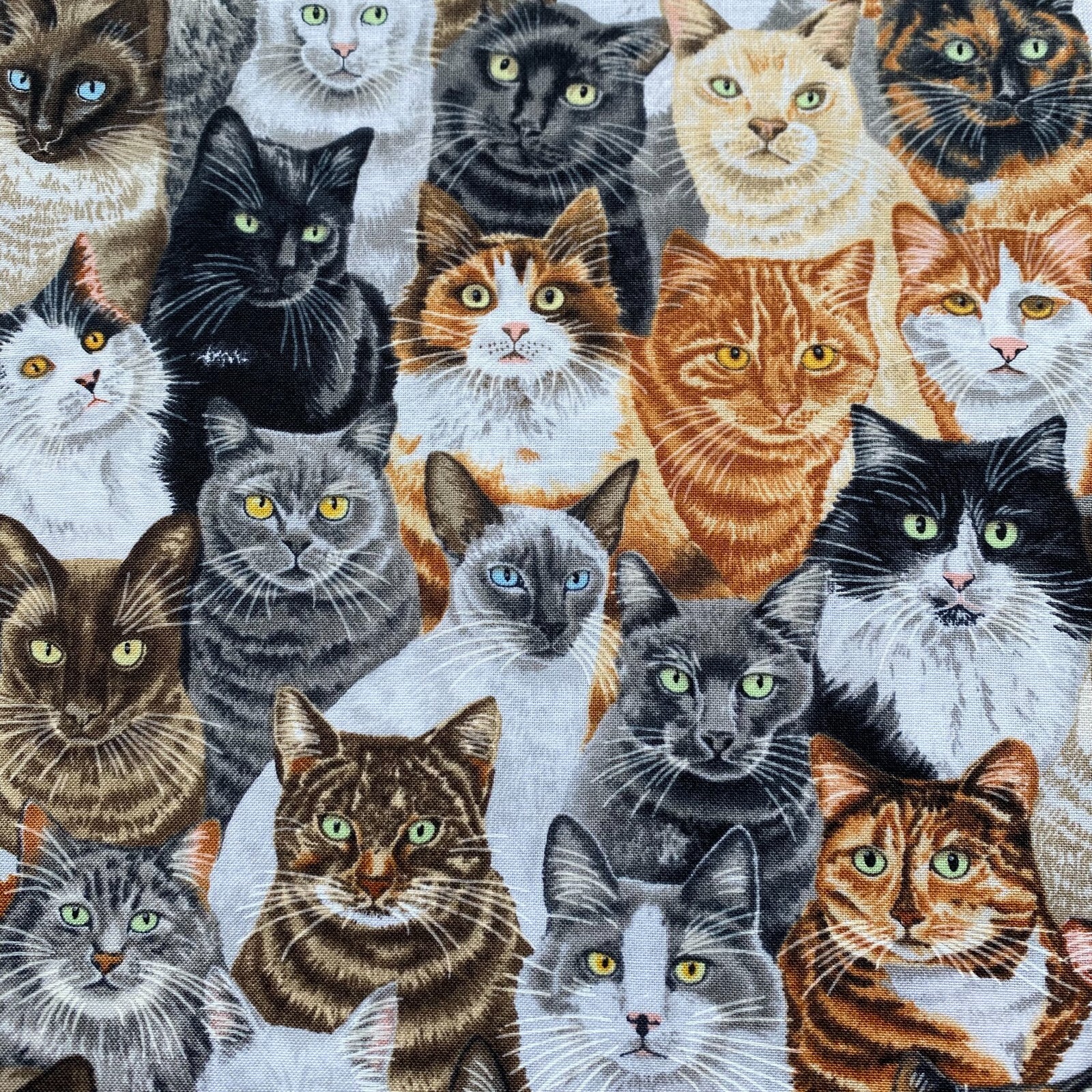 Kitty Cats Print 100% Craft Cotton Fabric for Pet Accessory Crafting ...