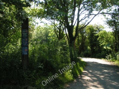 Photo 6x4 Cycle route 3 near Bawdrip c2010 | eBay UK