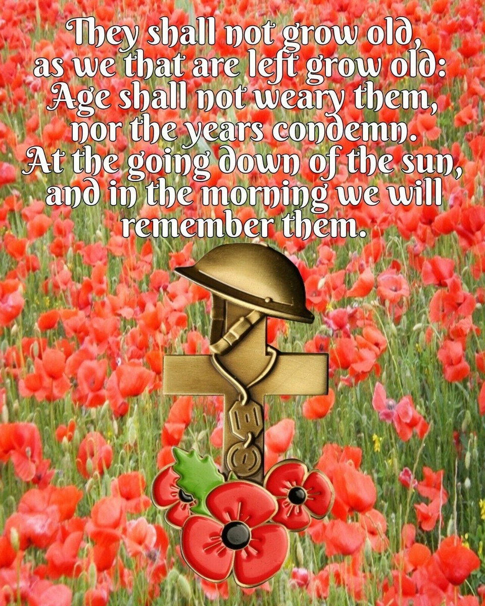 Remembrance Sunday Poppy Quotes