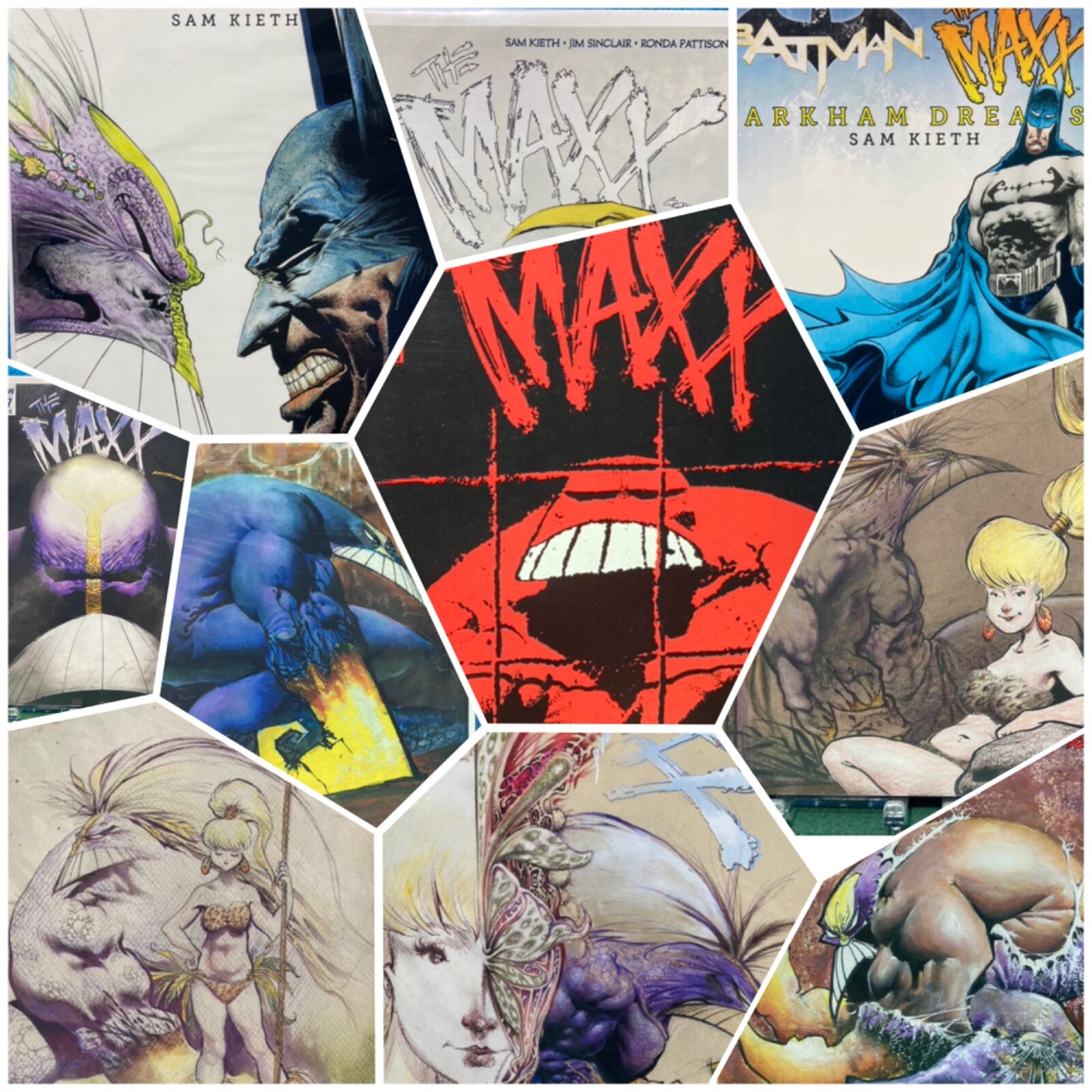 Your Choice: SAM KEITH - The MAXX Vol. 1 & MAXXIMIZED, Batman, Lobo ...