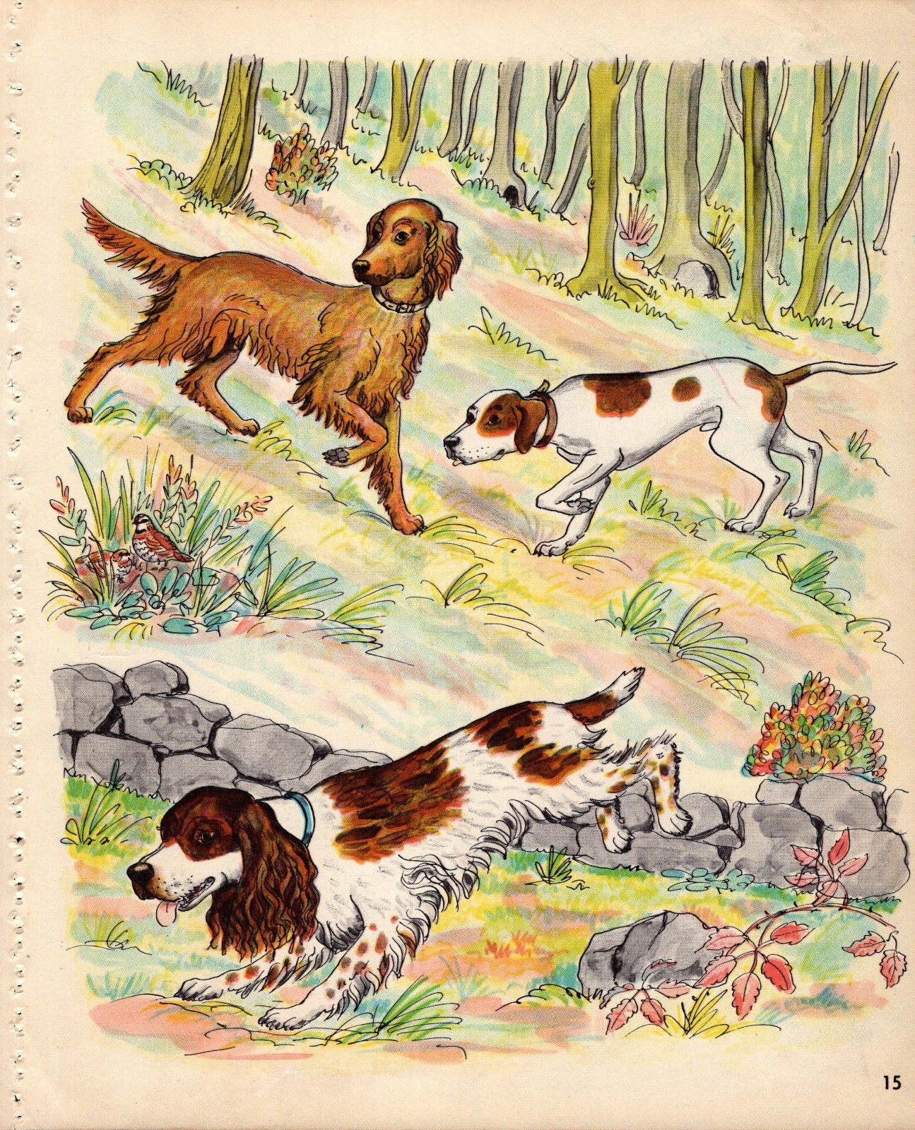 Vintage 1950s Springer Spaniel Pointer Golden Retriever Print Jauss Art ...