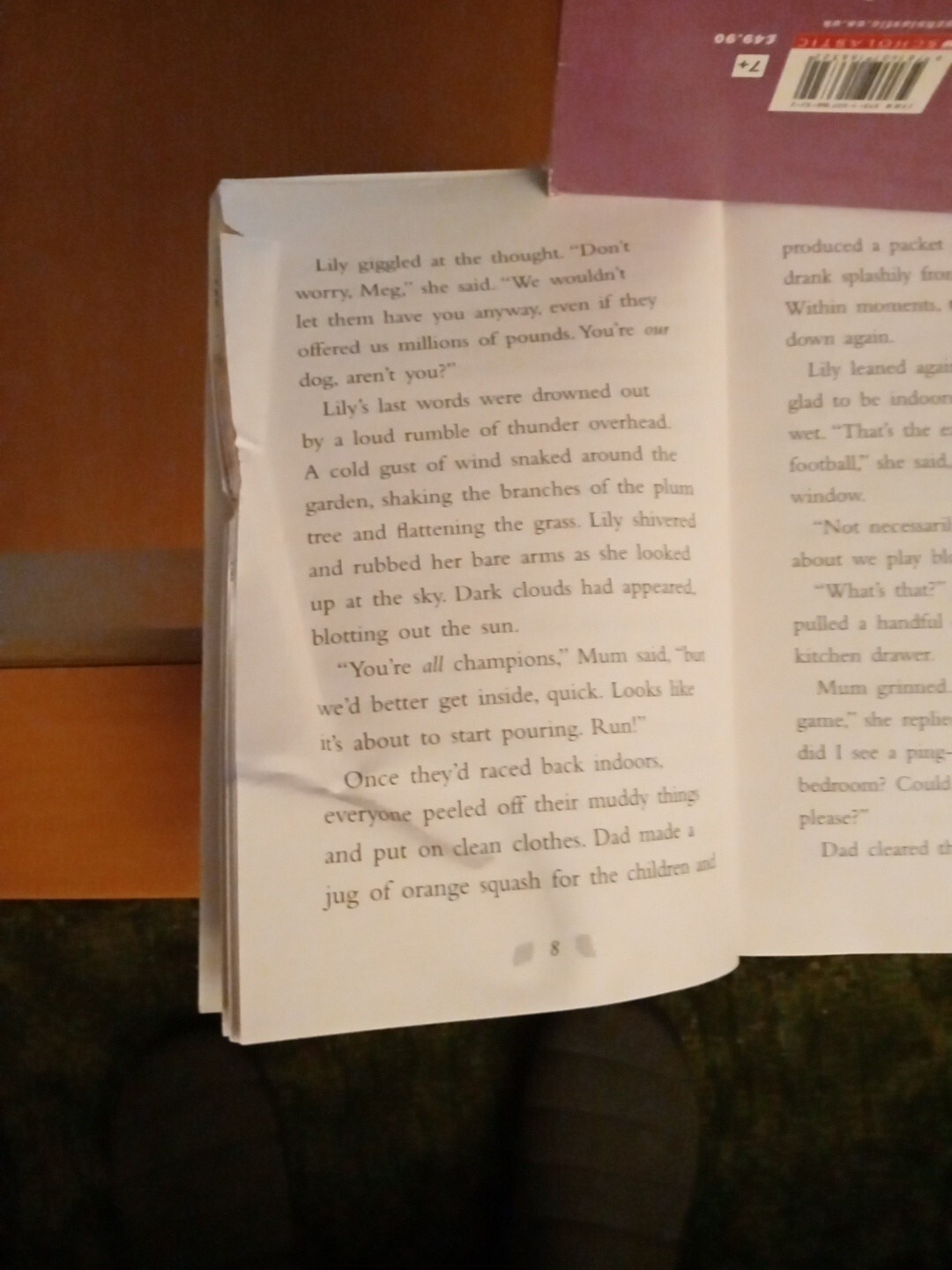 RSPCA Animal Rescue Pets 10 Childrens Books Collection Scholastic for ...