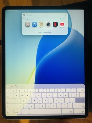 ipad 12.9 PRO 190198828620| eBay