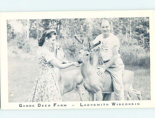Chrome FARM SCENE Ladysmith - Near Barron Wisconsin WI j/01 AH3388 | eBay