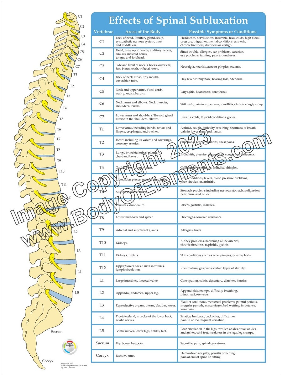 Cervical Nerve Function Chart The Role Of The Nerve Receptors In The