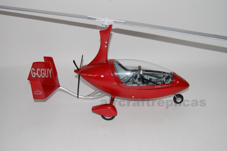 Autogyro Calidus Aircraft Wood Model - BIG | eBay