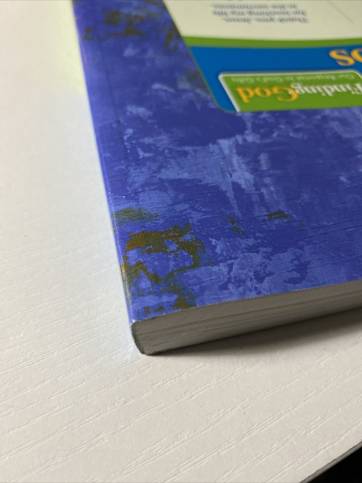 Encontrando a Dios/finding God Grade 5 Student Book by Loyola Press for ...