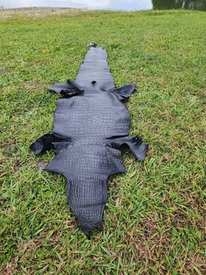 Alligator Hide -Black 7.2 Ft. 17.5 " wide . Wild American Ships only in ...