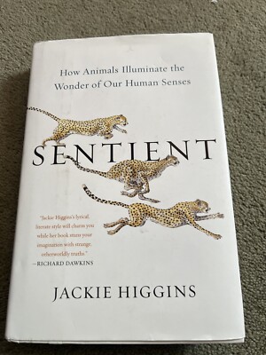 Sentient Jackie Higgins Hardback Book American Version | eBay