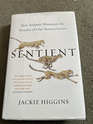 Sentient Jackie Higgins Hardback Book American Version | eBay