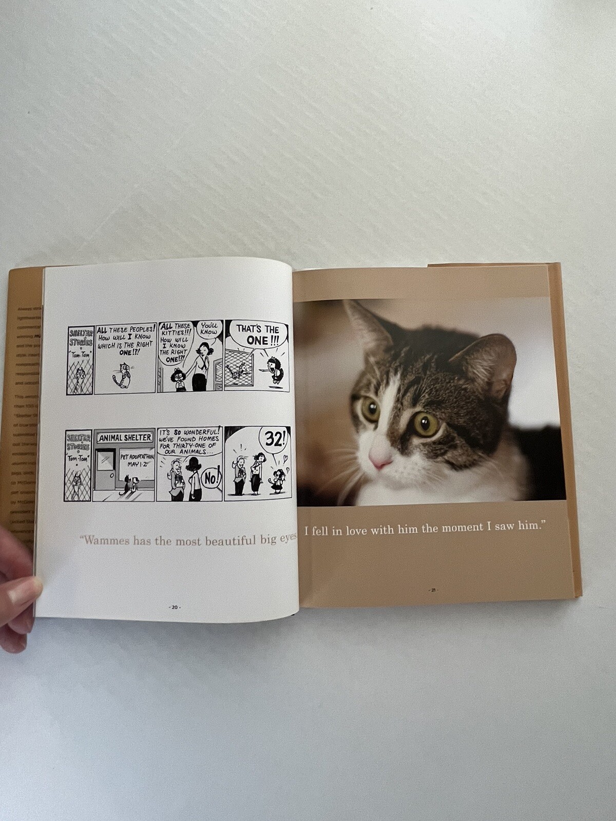 Mutts Shelter Stories by Patrick McDonnell Book Hardcover w/Dust Jacket ...