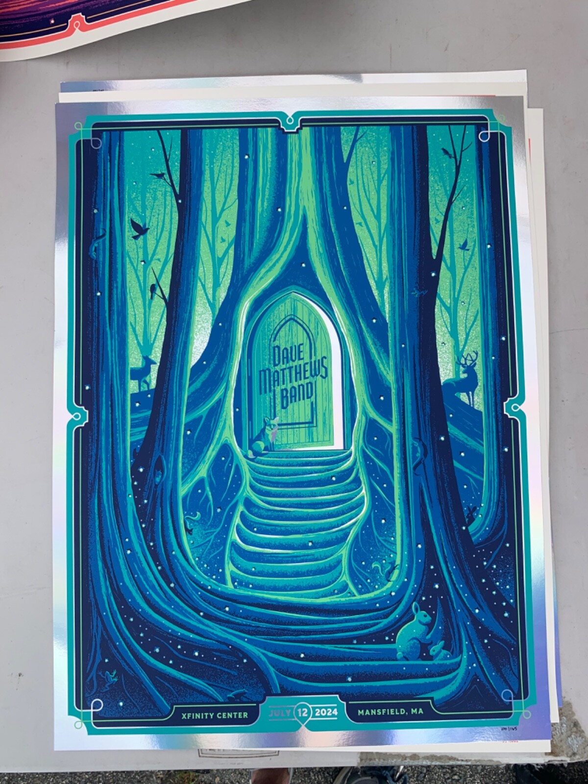 Dave Matthews Band DMB Foil 7/12/2024 Xfinity Center Mansfield, MA ...