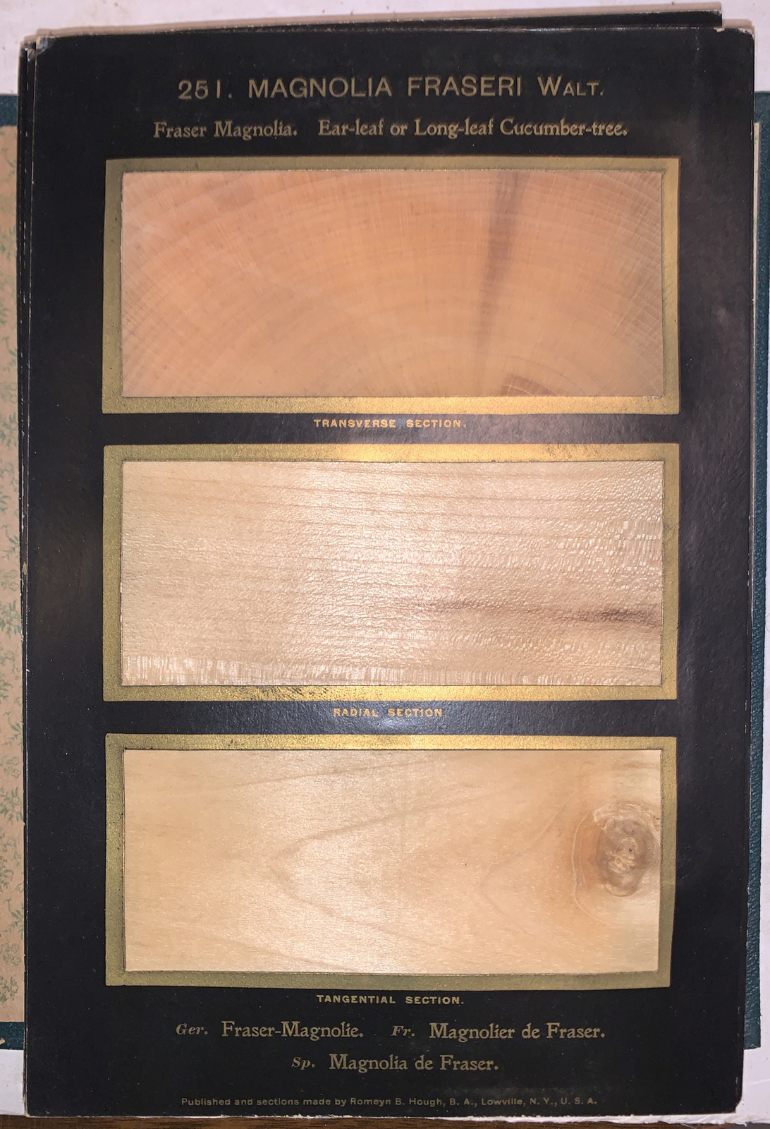 THE AMERICAN WOODS, ROMEYN B HOUGH INSCRIBED, 1888-1928, 1st, 14 VOL W ...