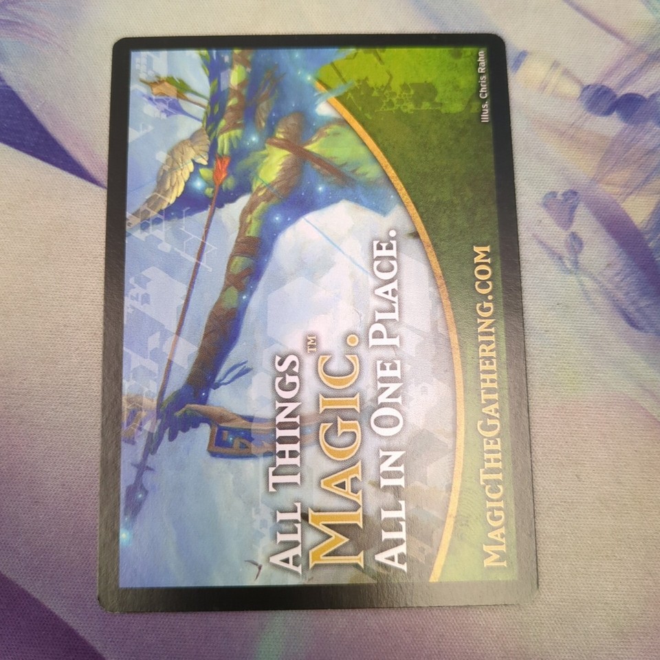 Magic The Gathering Theros Boar Token 6/11 | eBay