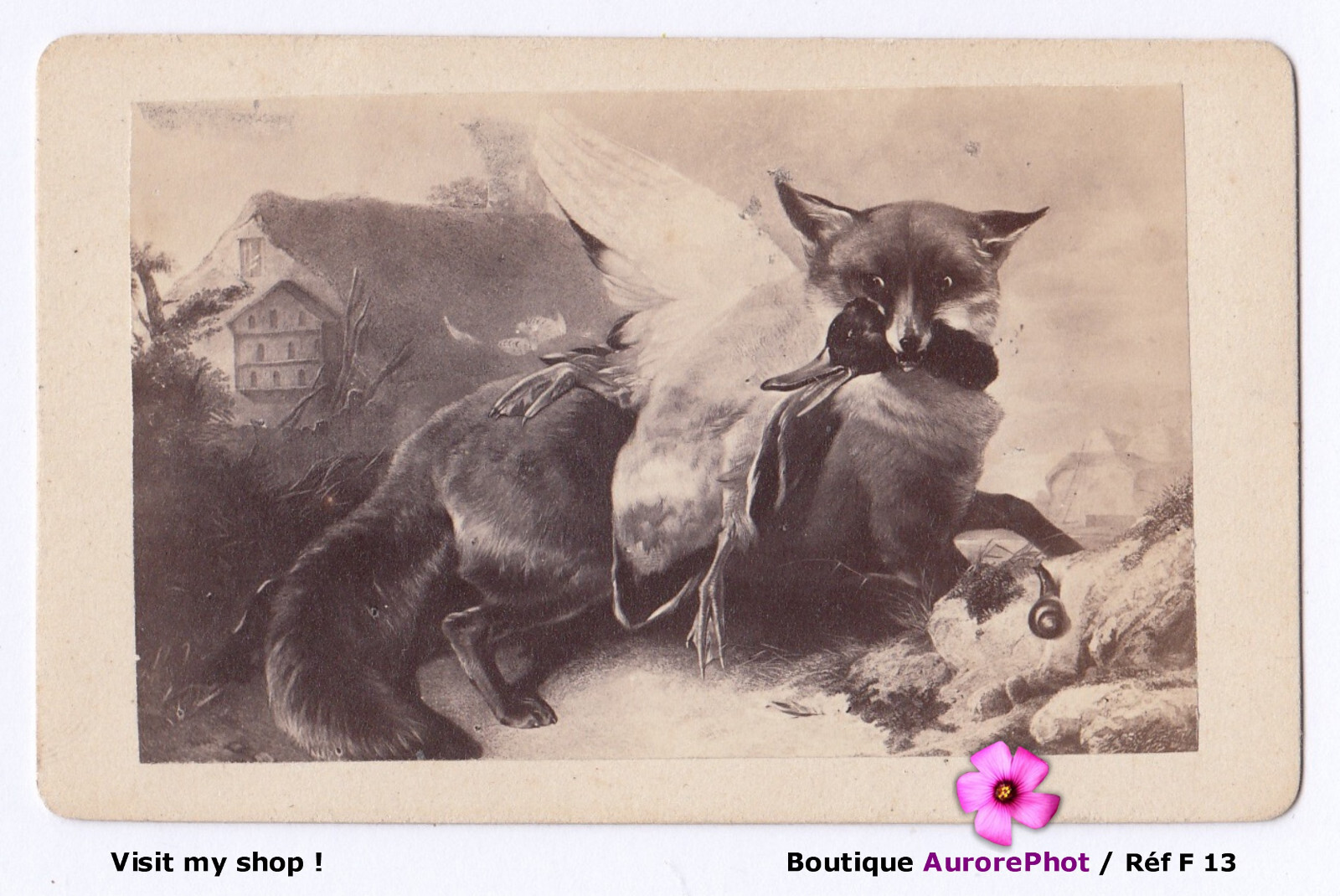 LE RENARD CHASSEUR, CANARD, ANIMAUX, FOX, DUCK, CDV, PEINTURE de ...