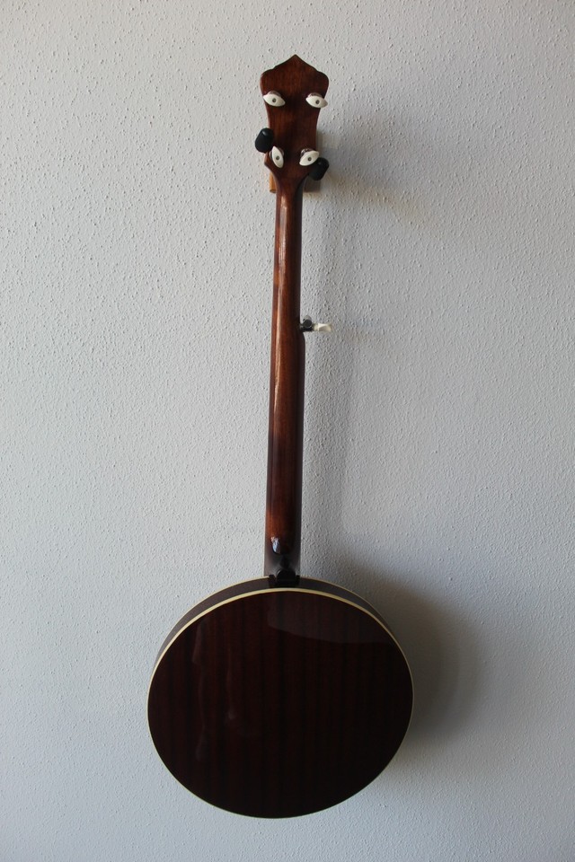 Brand New Recording King RK-R36 Madison Resonator 5 String Banjo with ...