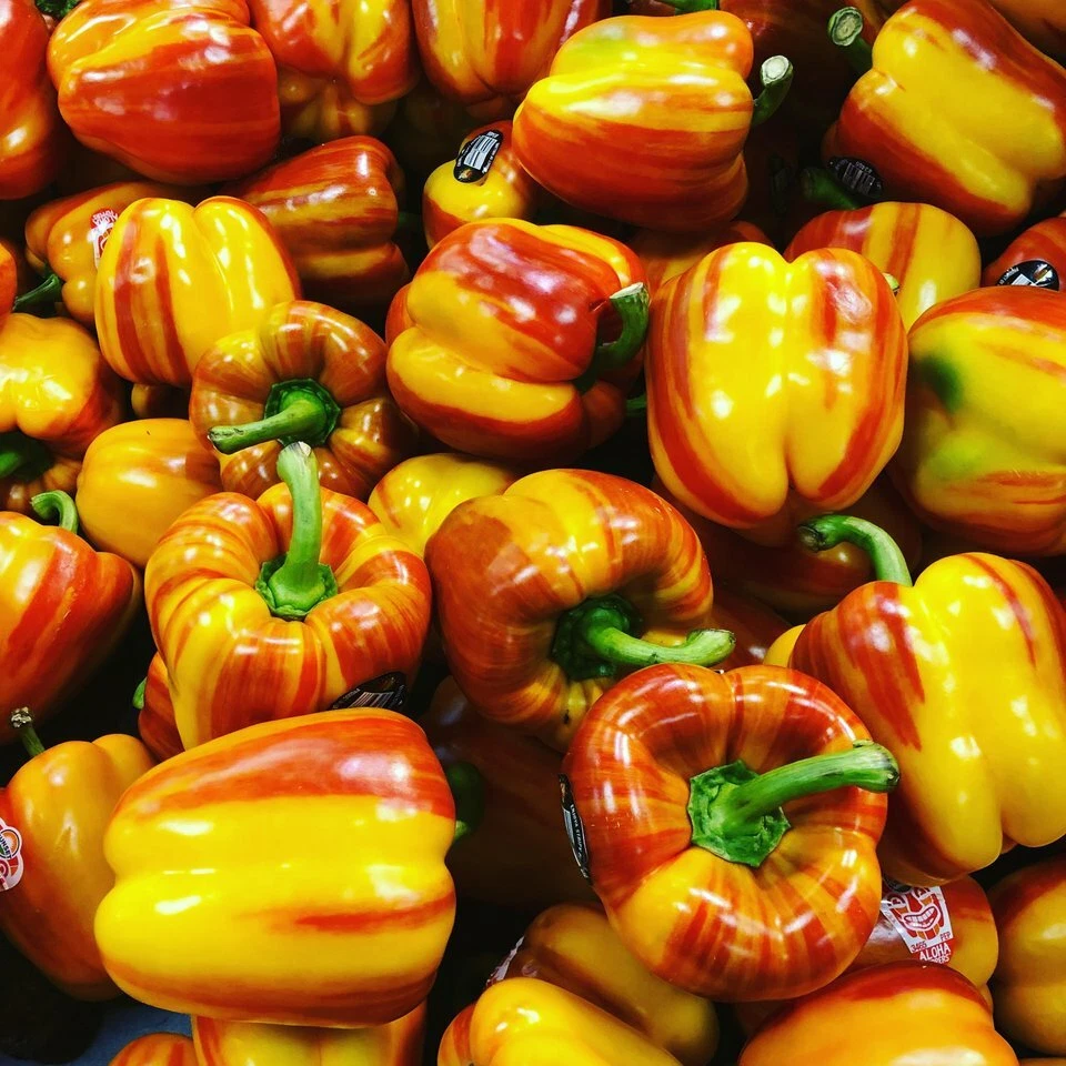 Holland Peppers