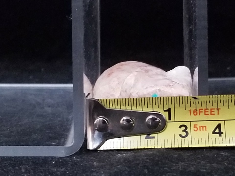 Vintage Zuni Fetish - Beaver - TYLER QUAM Turquoise eyes 70's/80's | eBay