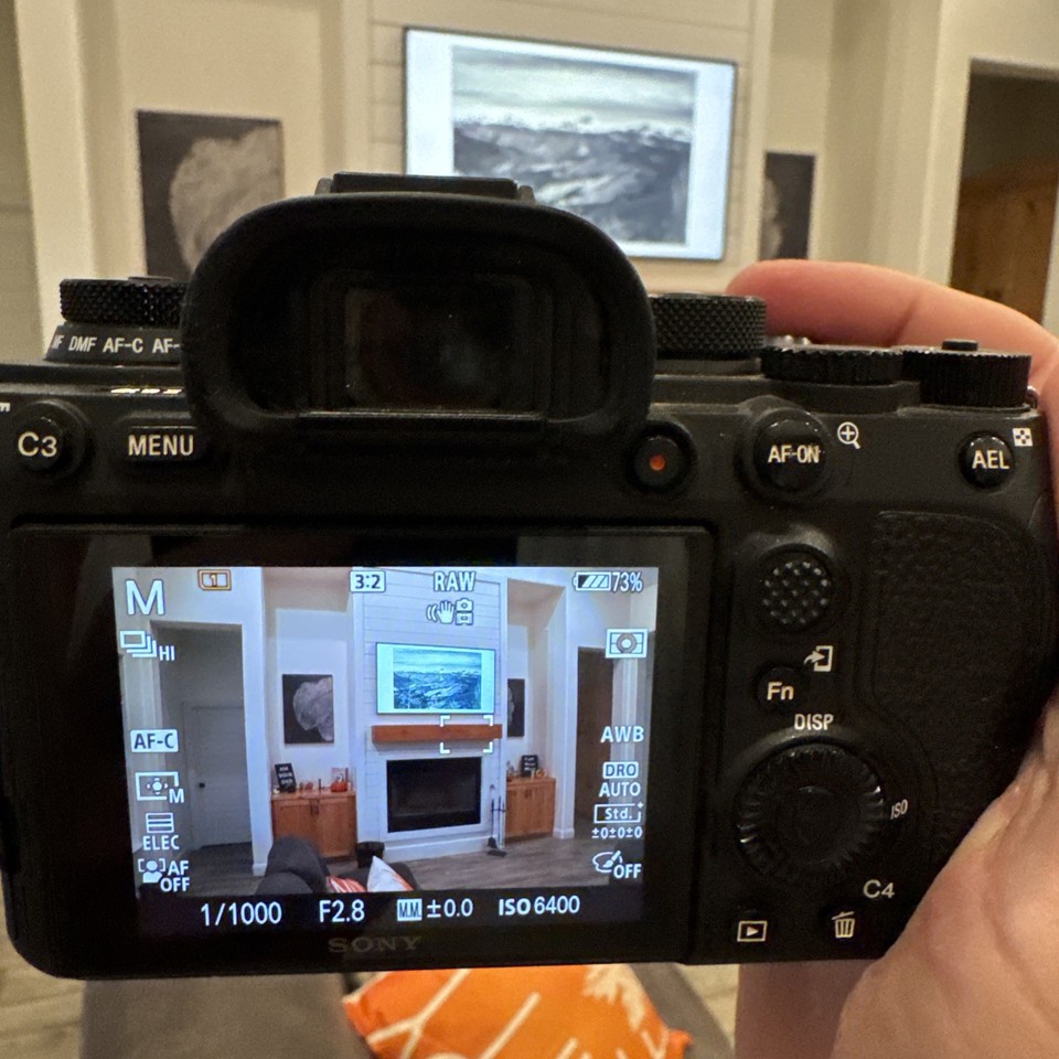 Sony Alpha a9 II 24.2MP Mirrorless Digital Camera Body #560 | eBay