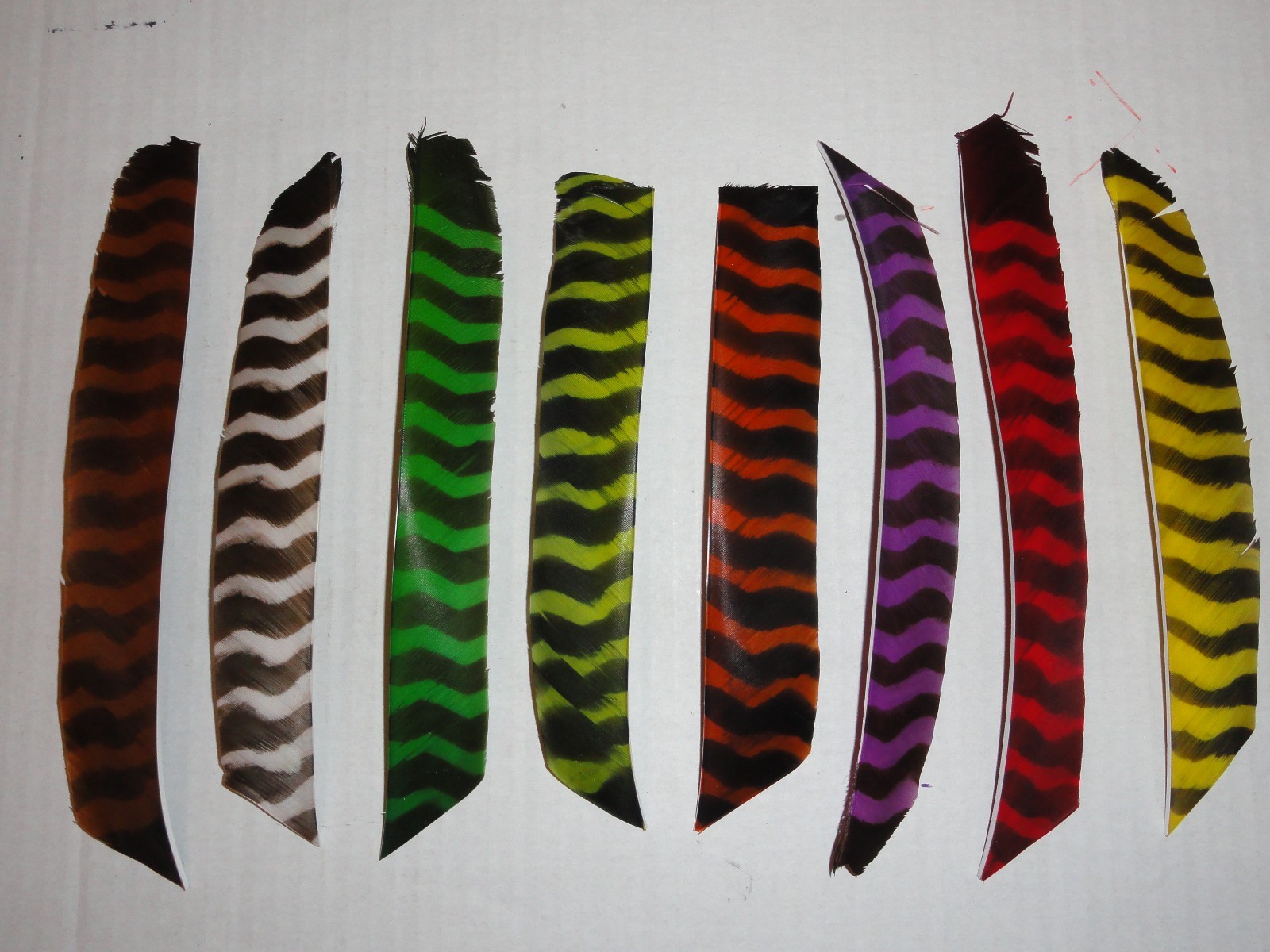 TrueFlight Full Length Barred Feathers - 100 Pack, RW or LW | eBay