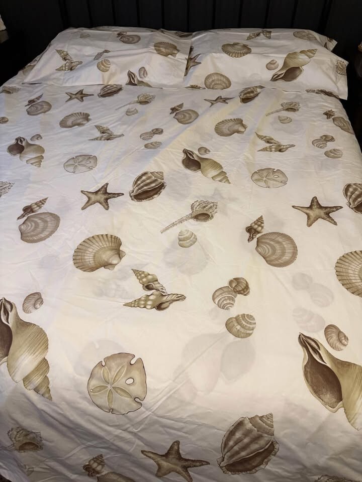 Pottery Barn Seashell KING Duvet Cover Set. 2 Euro Shams. RARE | eBay