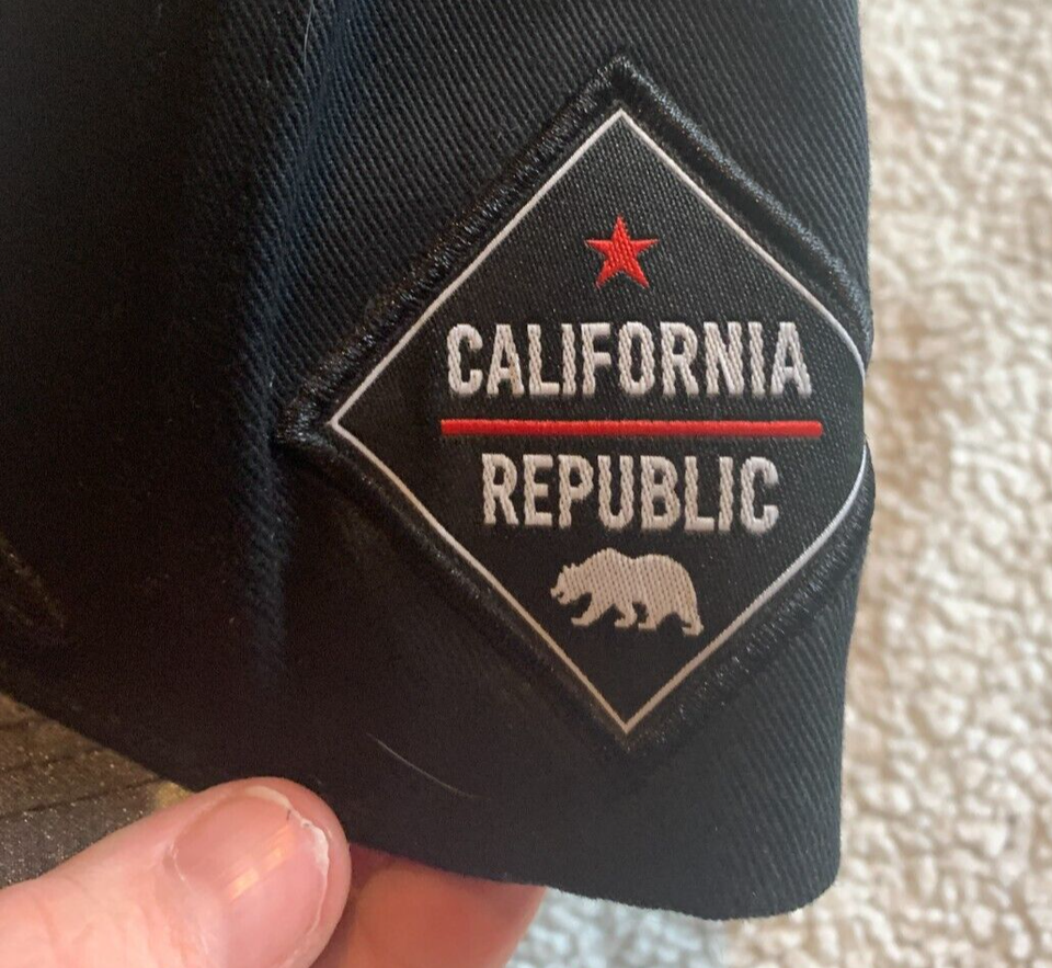 Top Level Snapback Hat, Bear, California Republic, Hat, Cap, Palm Trees ...