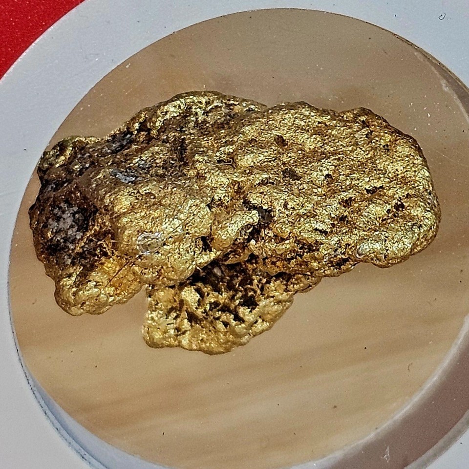 💥💥HUGE 18.44 GRAM GOLD NUGGET! VAULT BOX ULTRA RARE RED CORE NGC ...