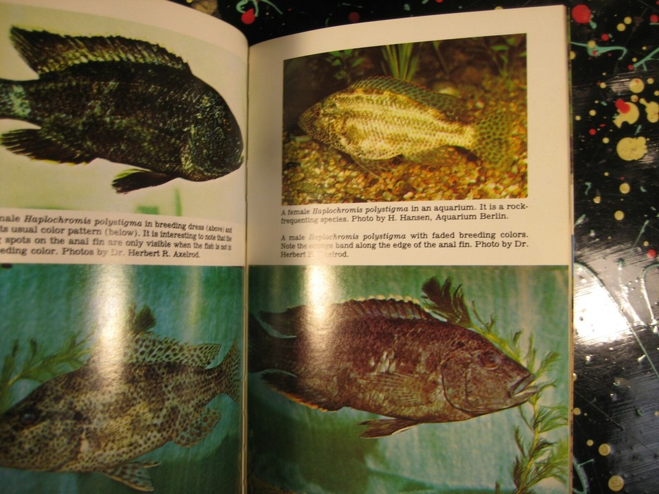African Cichlids of Malawi and Tanganyika Axelrod Color Photo HC Fish ...
