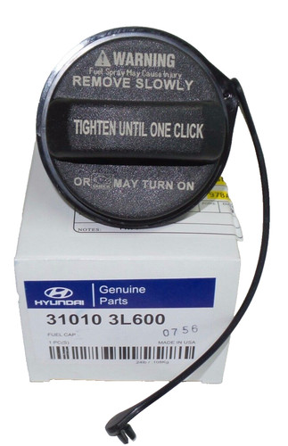 NEW 2006-2017 Hyundai Sonata,Elantra,Azera,Santa Fe,Veloster Etc GAS ...