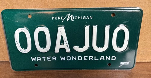 Pure Michigan License Plate Green "Water Wonderland". - Expired - Not ...