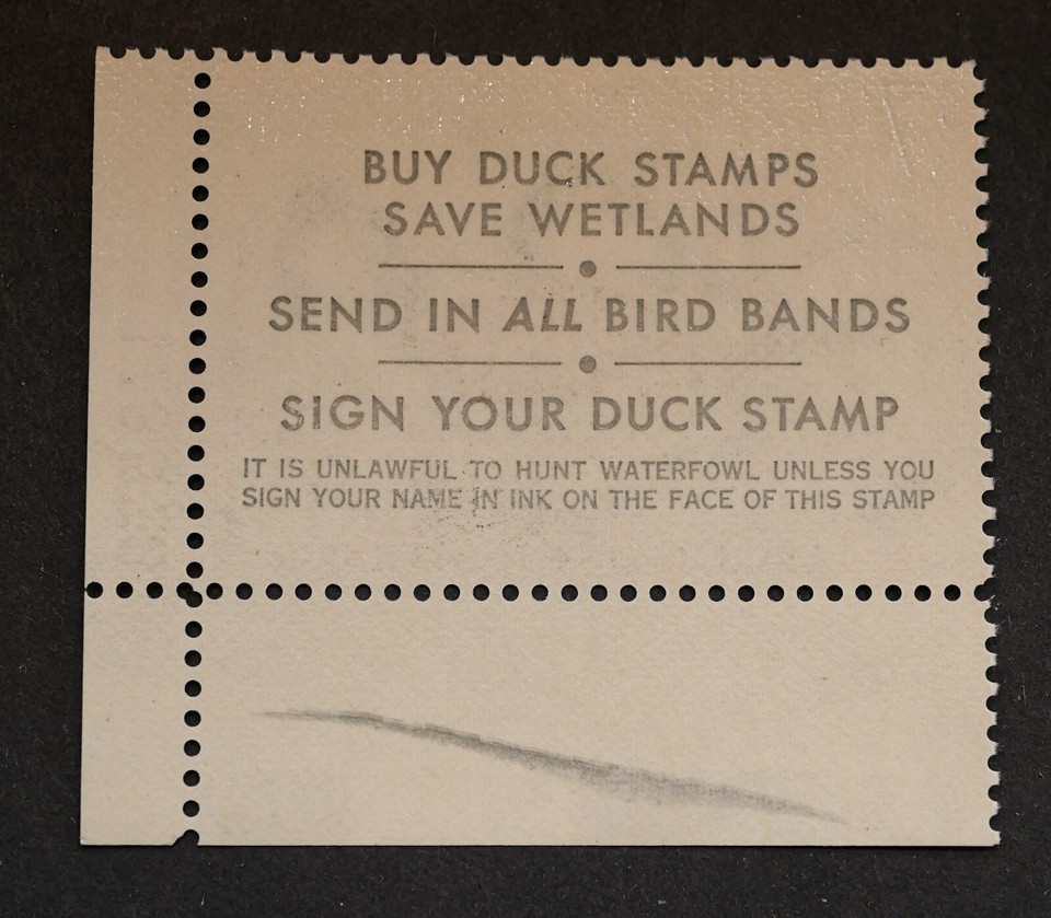 RW48 Federal Duck Hunting Stamp w/ block #, MNH, OG, 1981 stamps ...