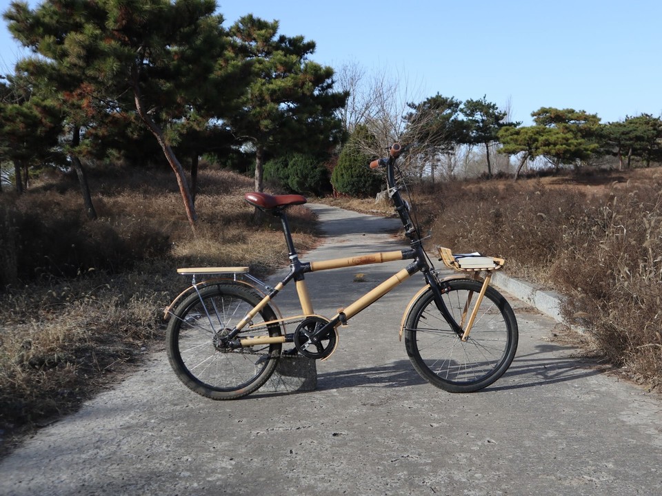 Custom Bamboo Bicycle Frame Build Kit | eBay