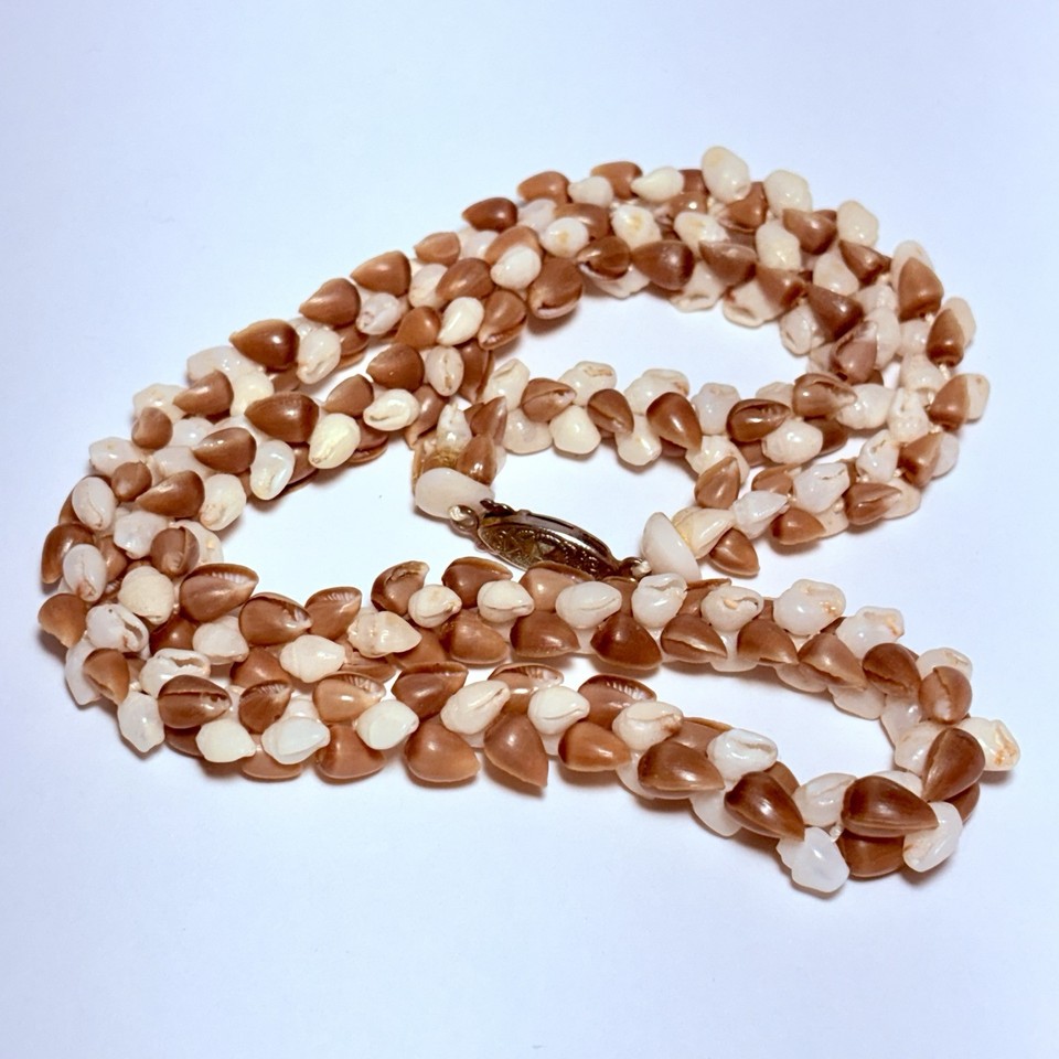 100% Hawaiian Niihau Momi Poleho Shells 20" Single Strand Lei Necklace ...